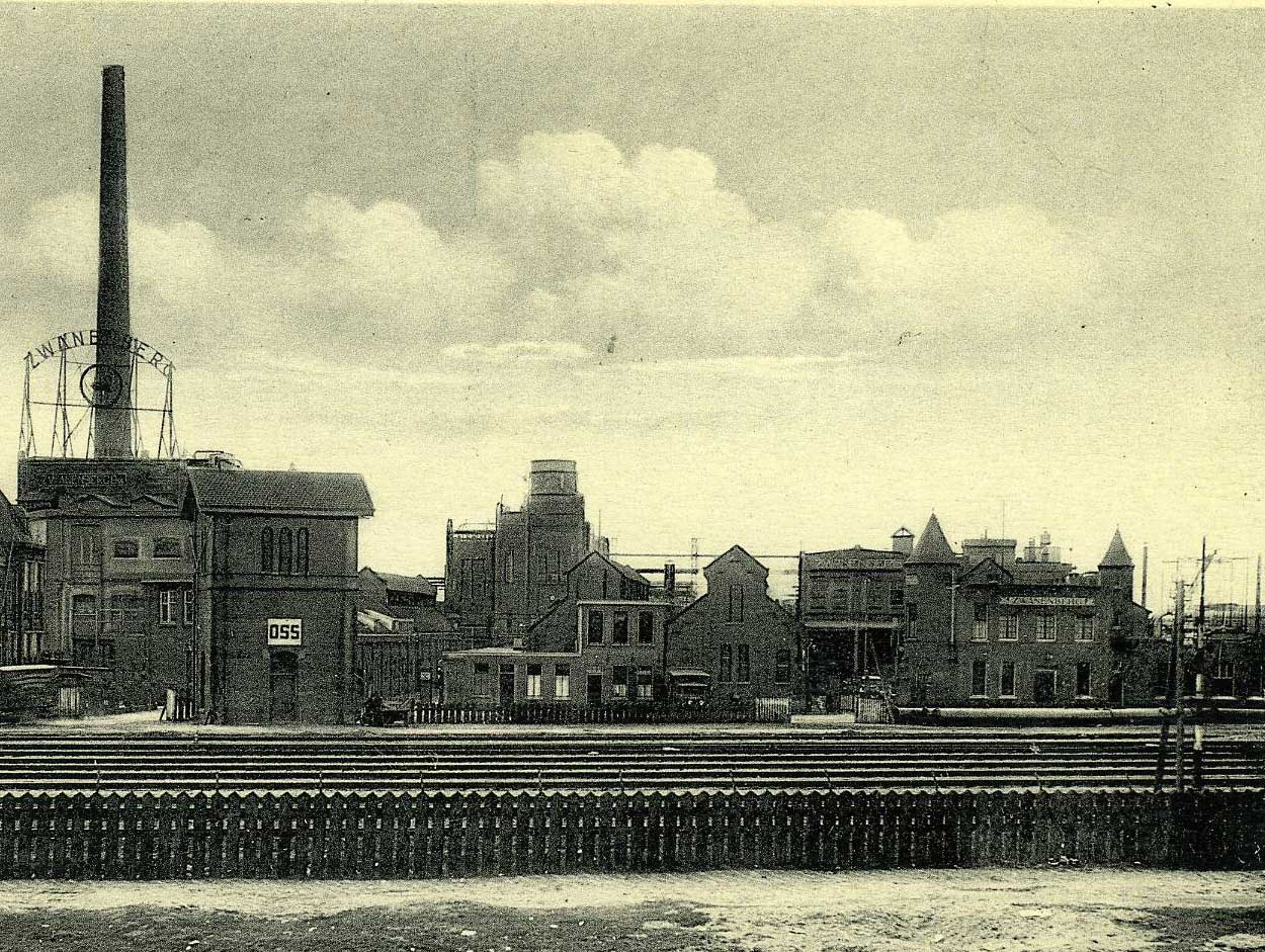 Zeg maar Zwan tegen Zwanenberg, Zwan | In Brabant staat een Huis